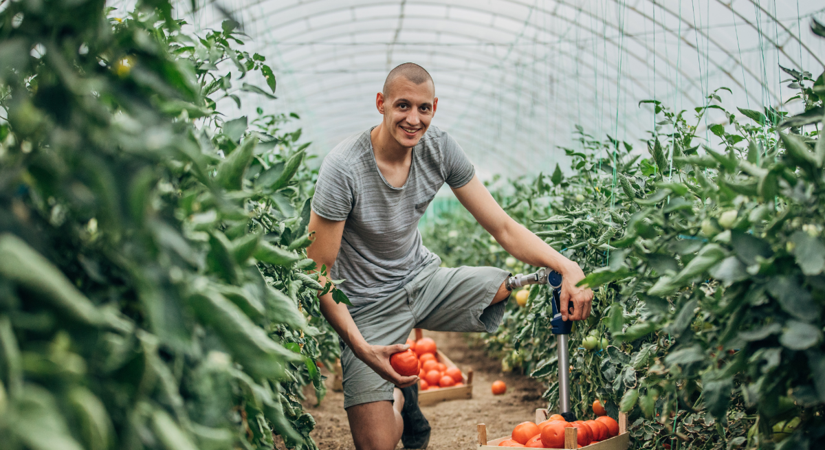 5 Steps to Create an Accessible and Inclusive Workplace - HireAbility Spokane